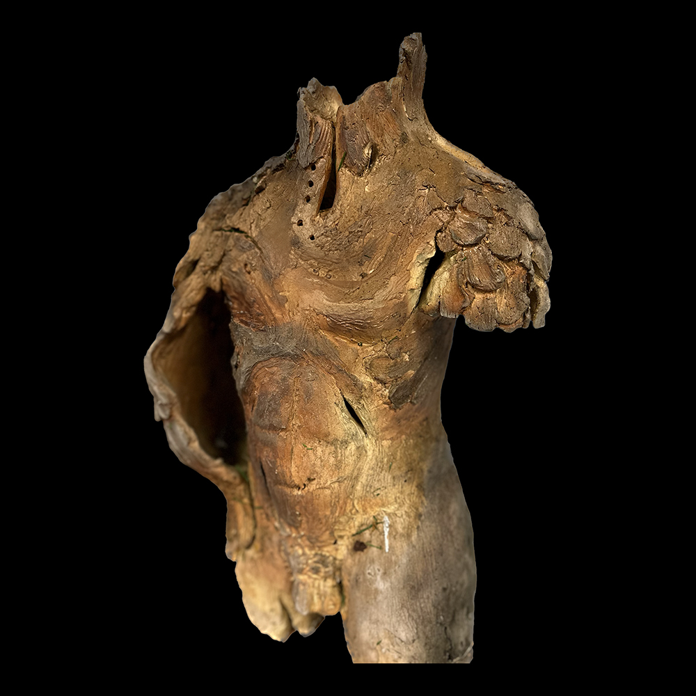 Fiat Ignis: Let There Be Fire.